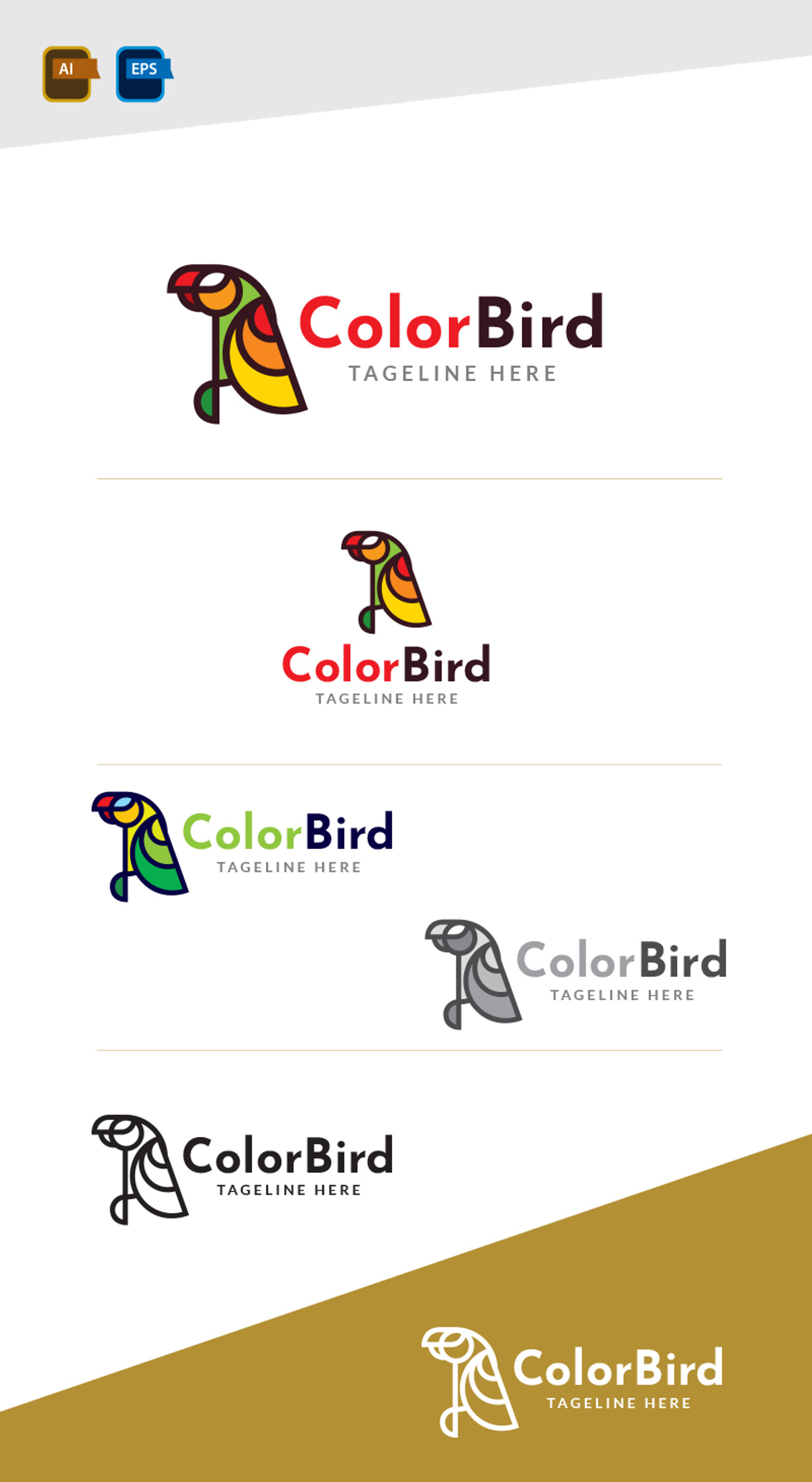 Color Bird Logo Design Template #219030 - TemplateMonster