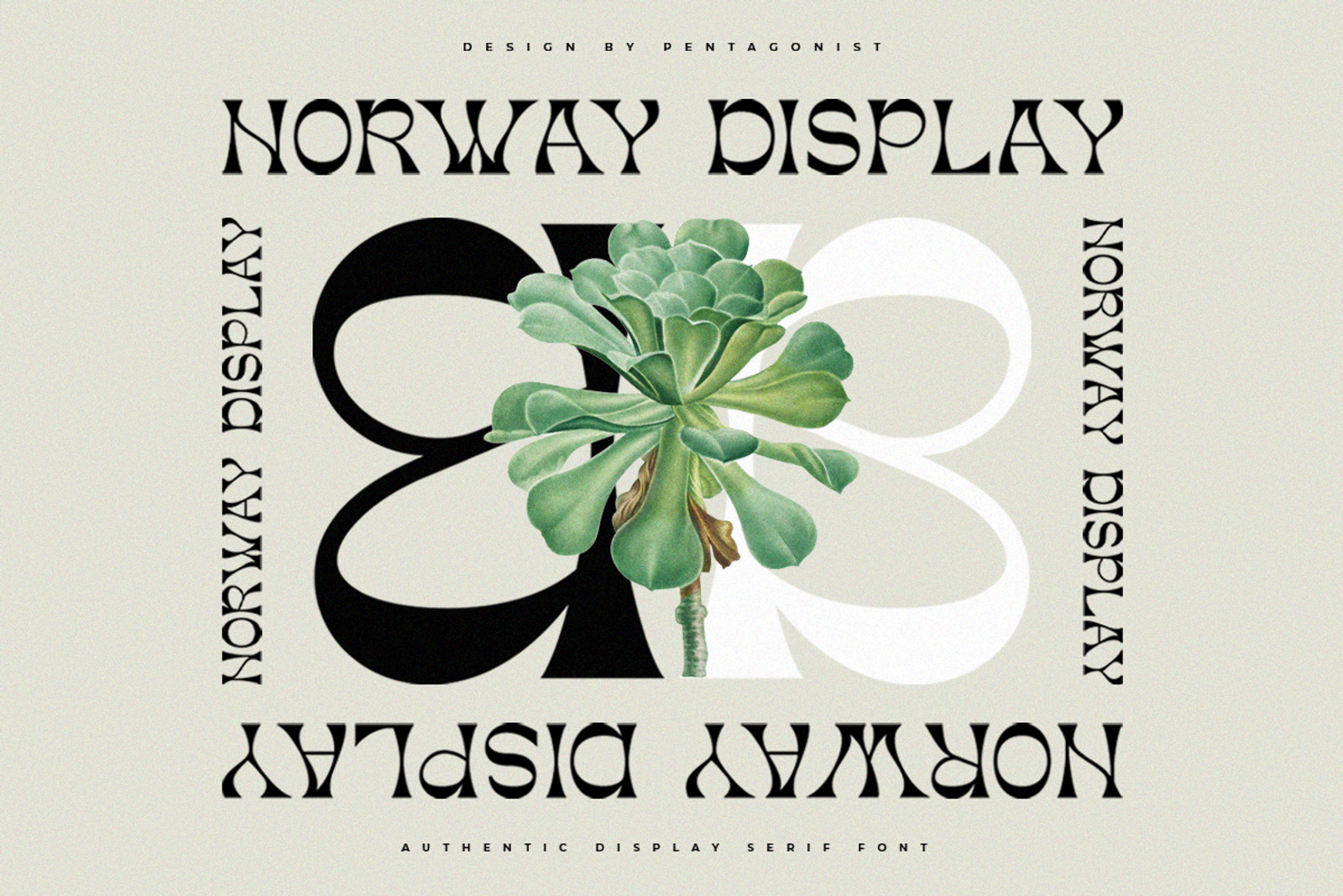Norway | Authentic Display Typeface Font - TemplateMonster