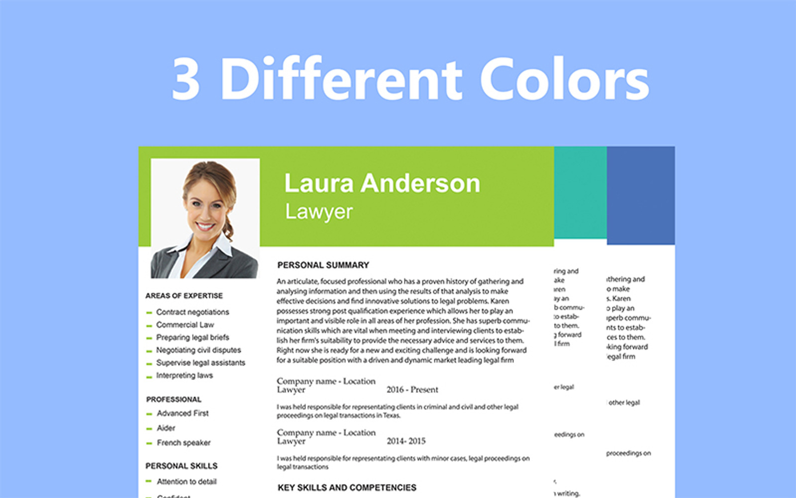 Lawyer- Printable Resume Template CV - TemplateMonster