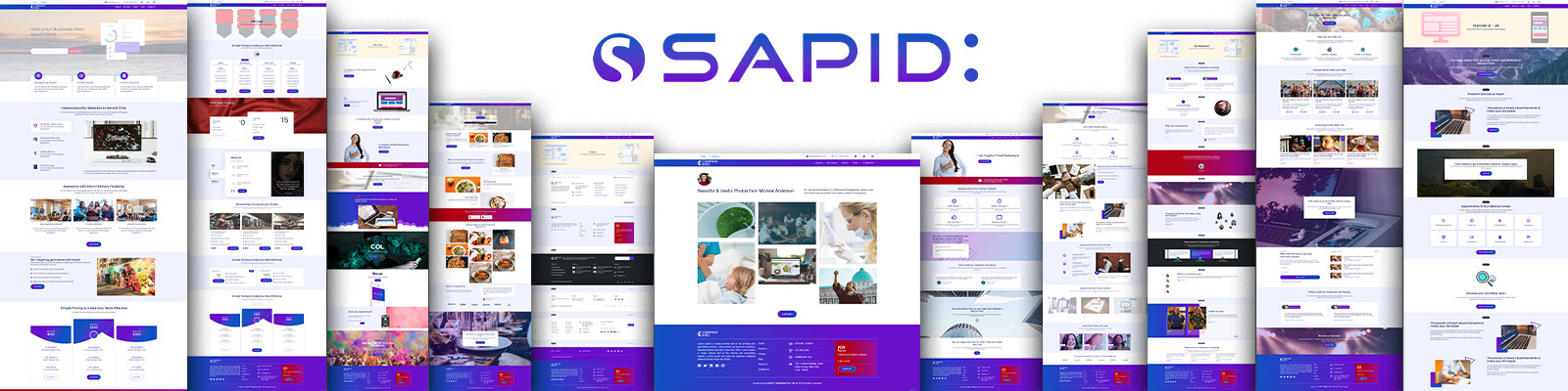 Sapid HTML Design Template #286282 - TemplateMonster