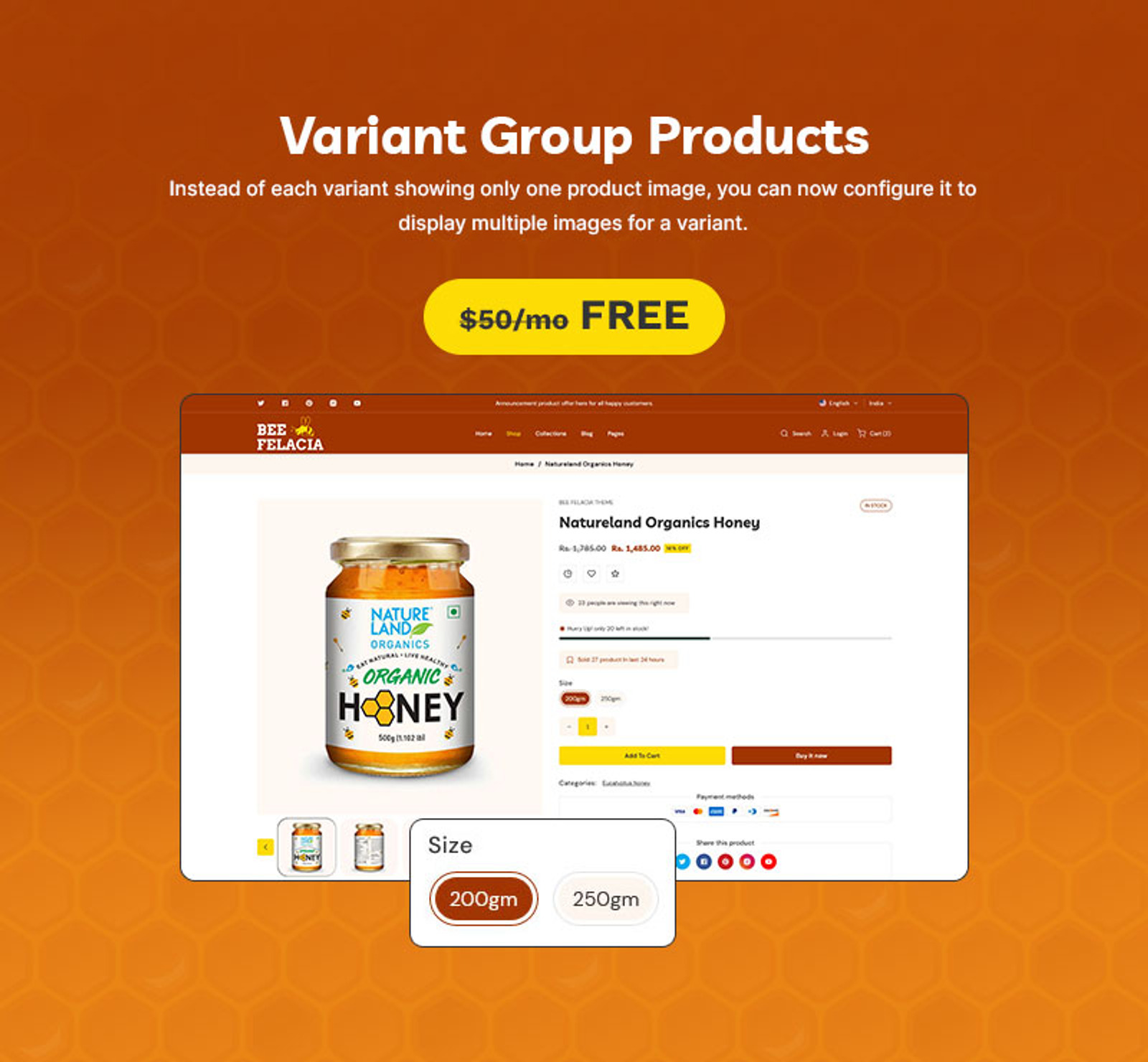 Beefelacia - Honey & Organic Food Store Multipurpose Shopify 2.0 Responsive Theme