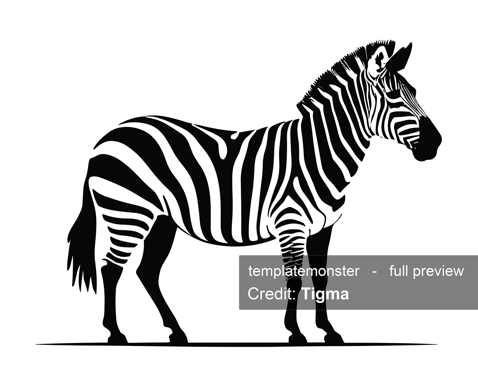 Zebra Artwork: A Monochromatic Masterpiece of a Zebra