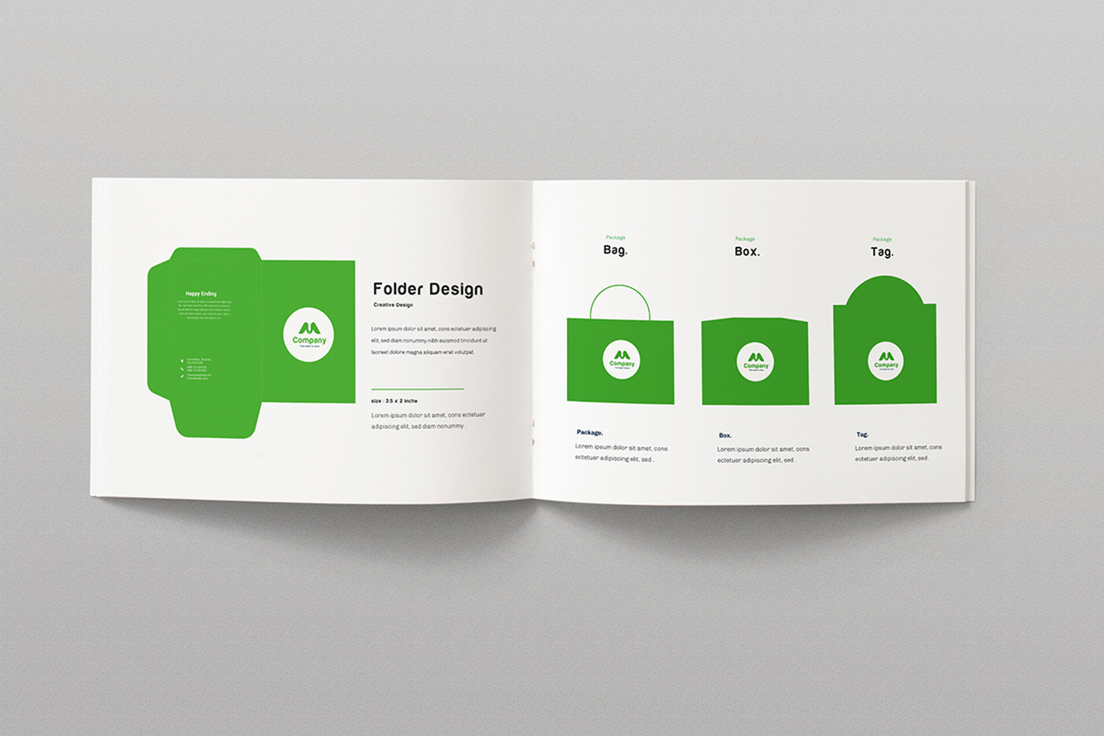 Brand Guidelines Template and logo Guideline Template