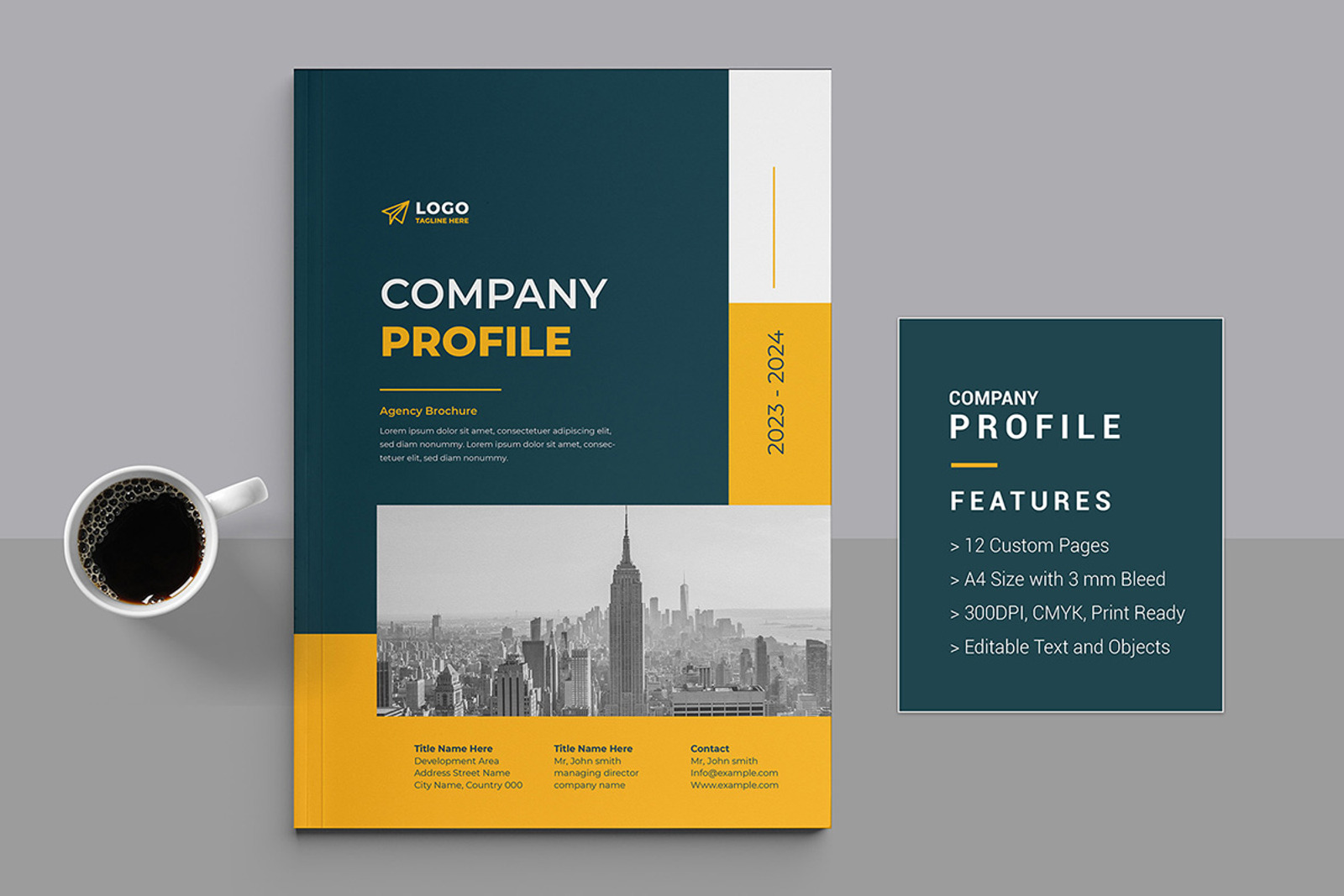Company profile layout design #330531 - TemplateMonster