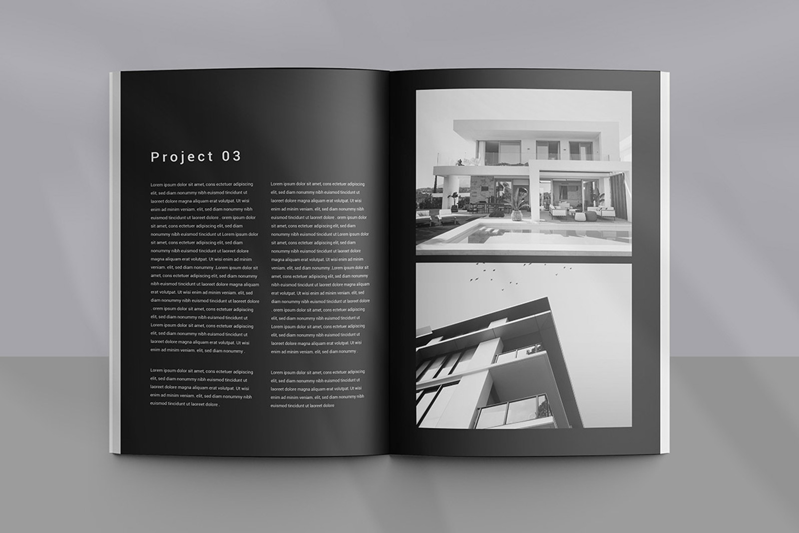 Black and White Portfolio Template #332967 - TemplateMonster