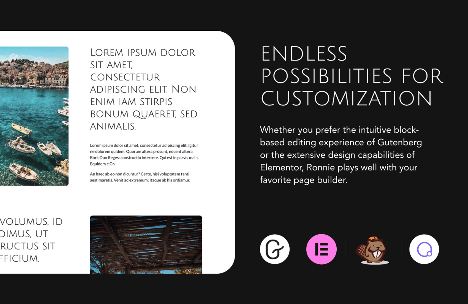 Ronnie - Personal Blog Wordpress Theme - TemplateMonster