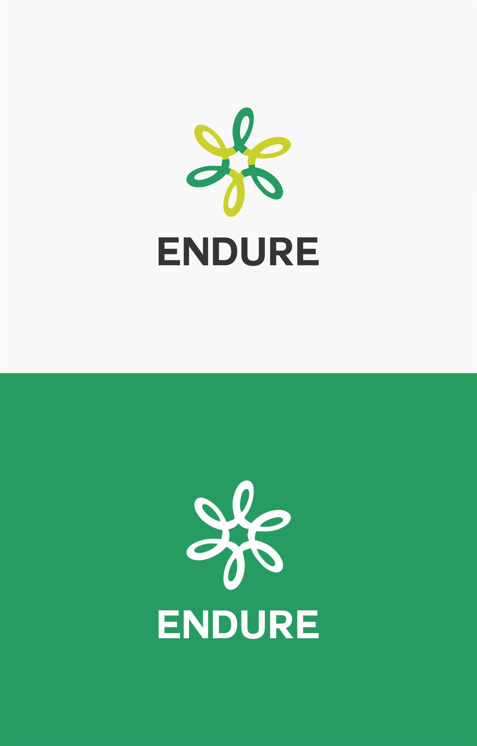 Endure Logo Design template #345048 - TemplateMonster