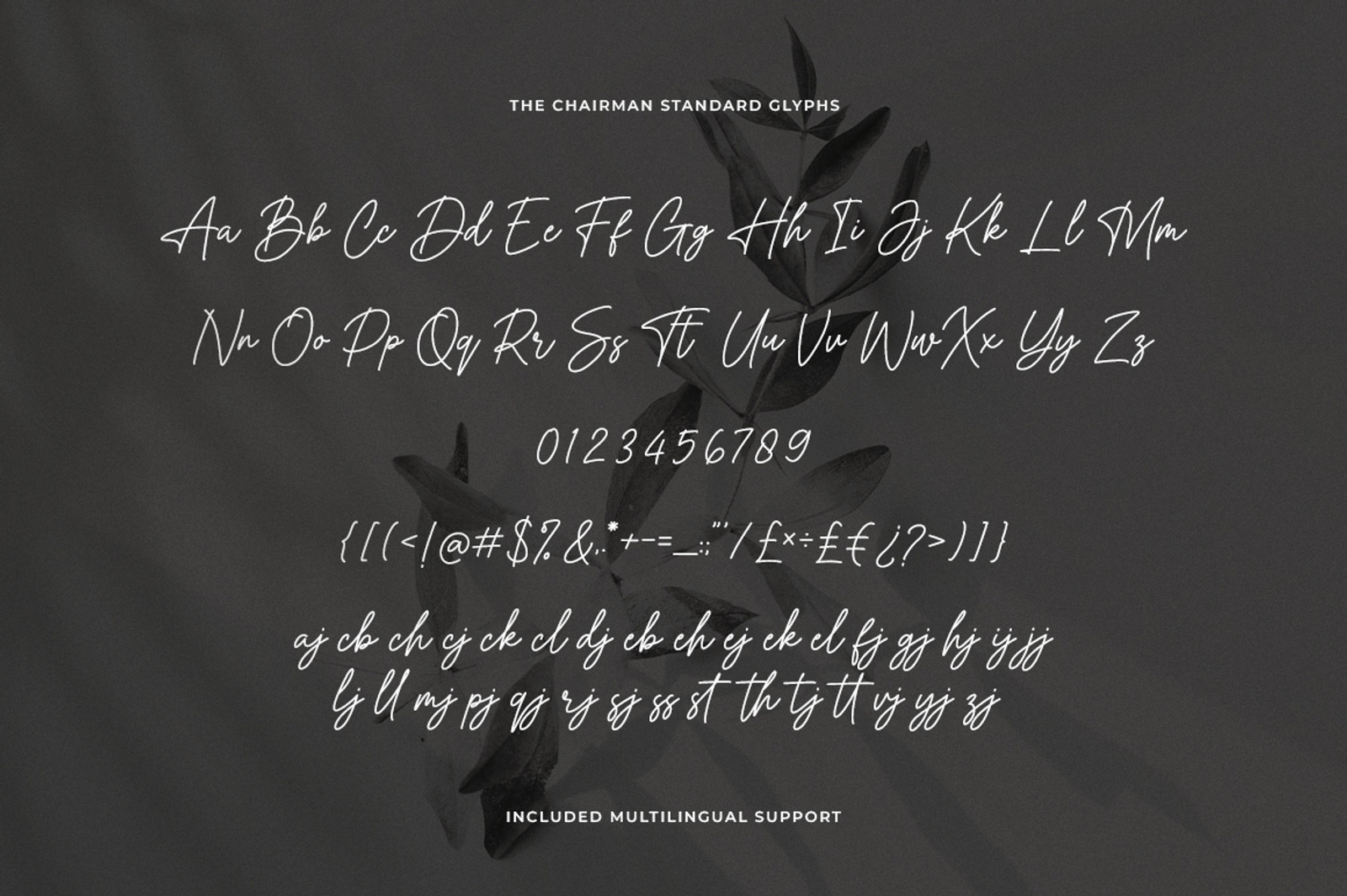 The Chairman Modern Signature Font #421649 - TemplateMonster