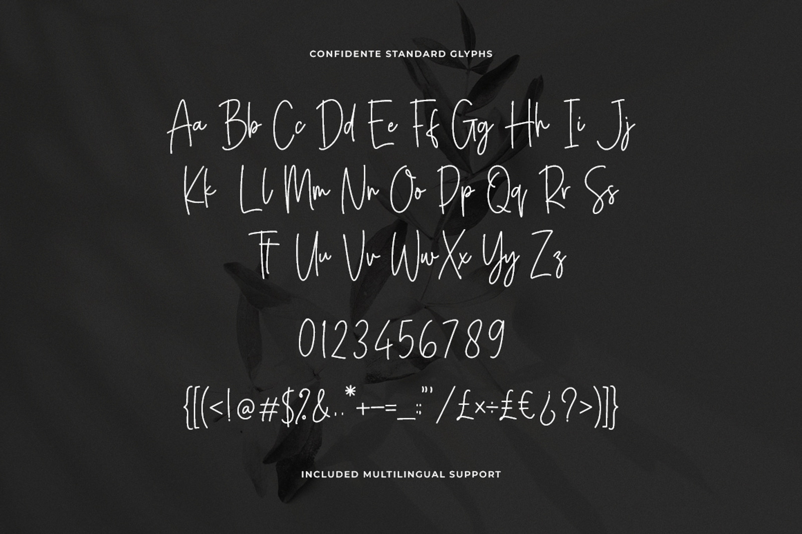 Confidente Signature Font #421645 - TemplateMonster