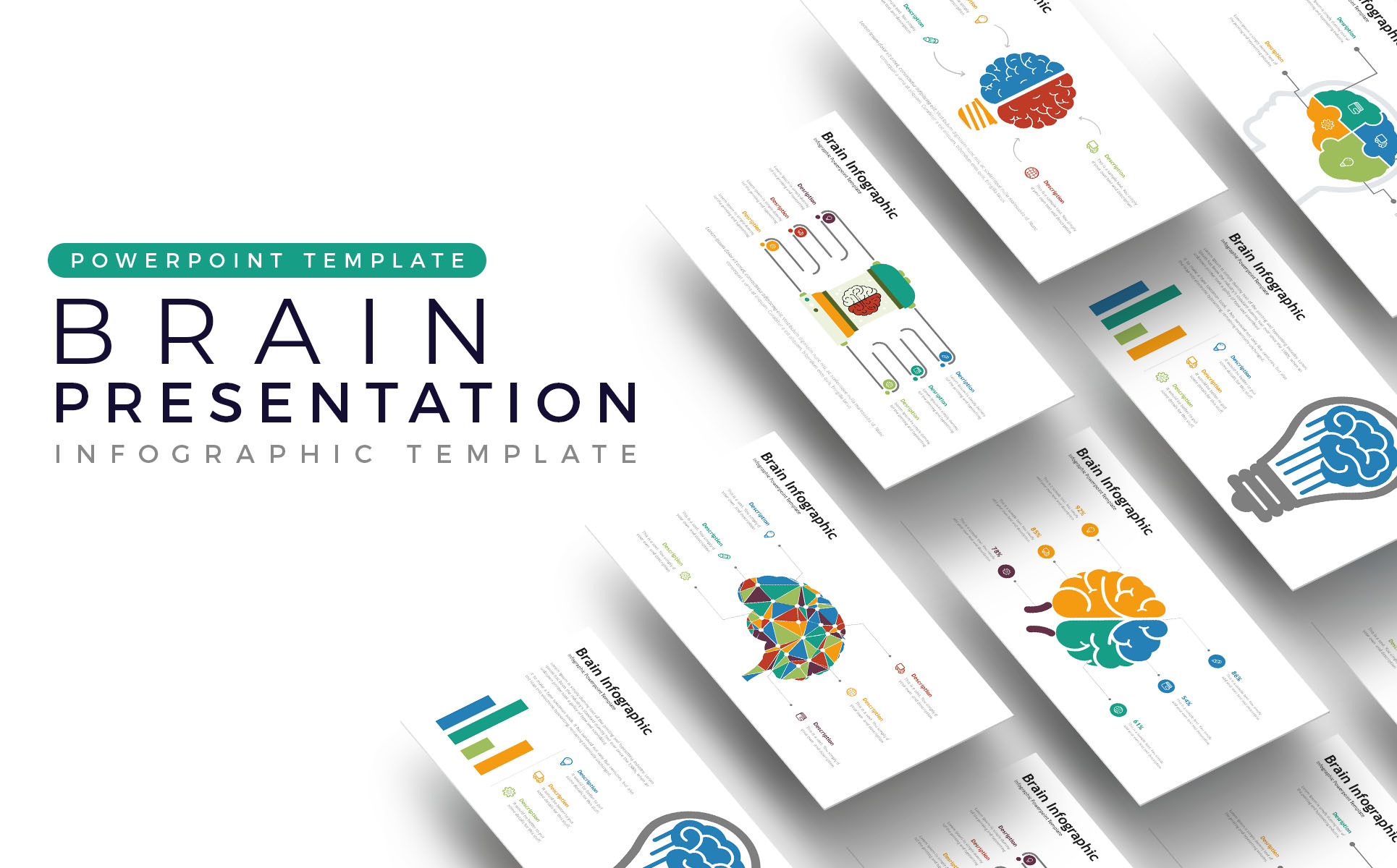 Brain Presentation - Infographic PowerPoint Template #73627