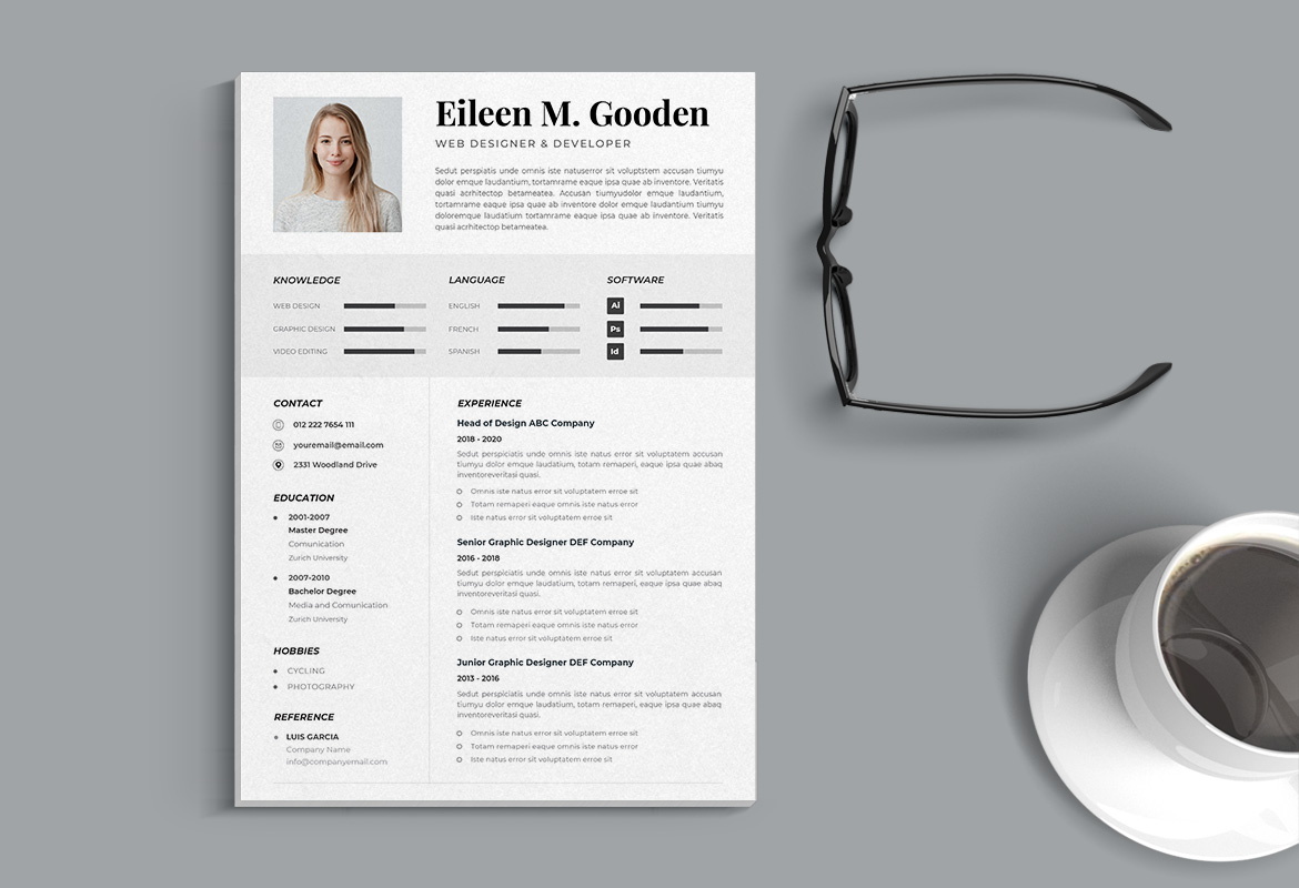 Professional CV Vol 17 Resume Template