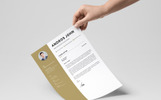 Andros John Word Resume Template #71850