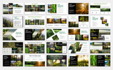 Forest- PowerPoint Template #79237