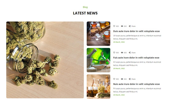 Herbal Store Responsive HTML Template #296911