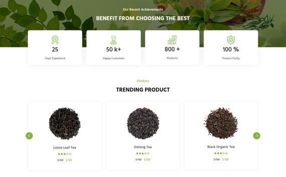 Herbal Store Responsive HTML Template #296911