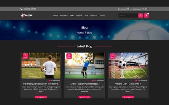 SoccerWorld - Professional Soccer and Football Website Template #335635