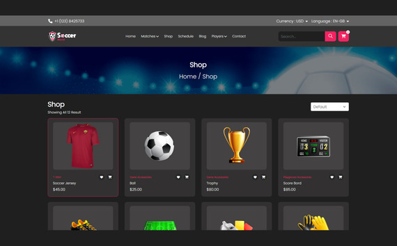 SoccerWorld - Professional Soccer and Football Website Template #335635