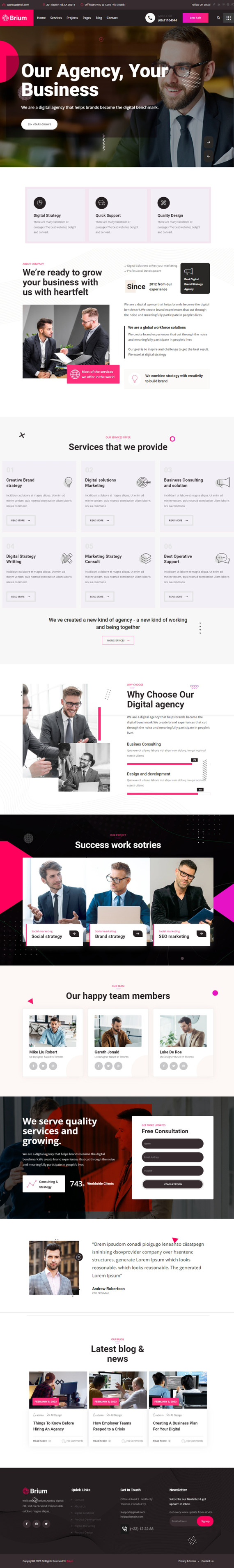 Brium – Consultancy & Business WordPress Theme #341065