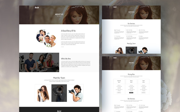 Aerial - Wedding Photography Website Template #68821