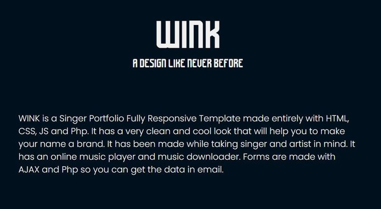 Music Artist and Singer By WINK Website Template #112213