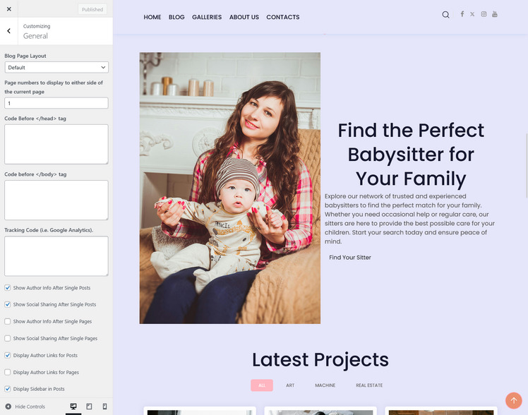 TishBabysitter - Babysitter WordPress Theme #444771