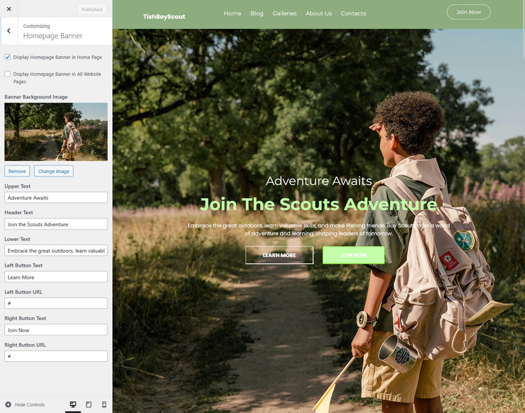 TishBoyScout - Boy Scout WordPress Theme #410868