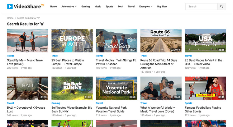 VideoShare Pro - WordPress Video Theme #319162