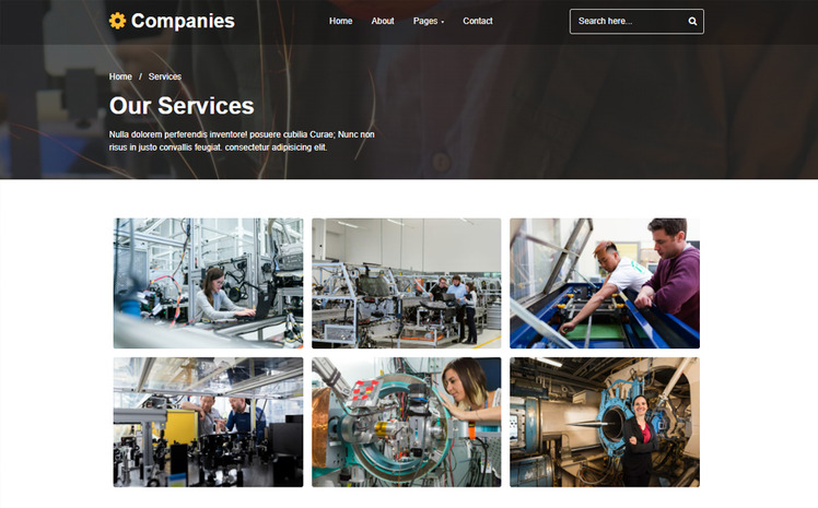 Services Company - Bootstrap Responsive Website Template #358430