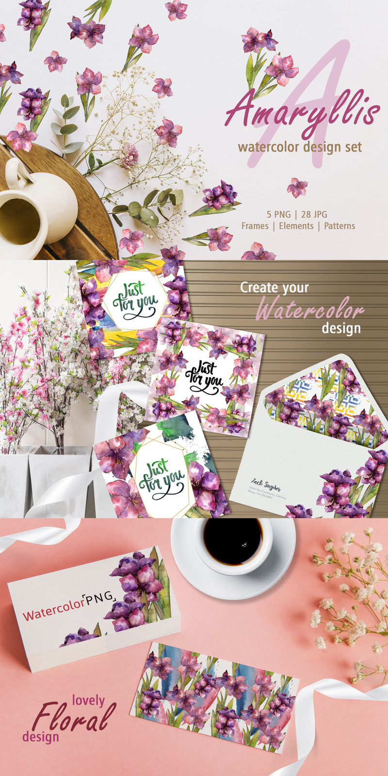 Amaryllis Design Set Watercolor Png - Illustration