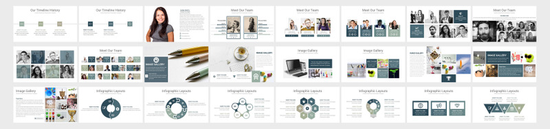 BASIC INFORMATION PowerPoint template - TemplateMonster