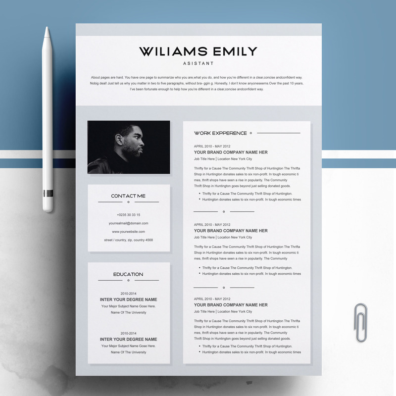 Professional Clean Resume Template #73580 - TemplateMonster
