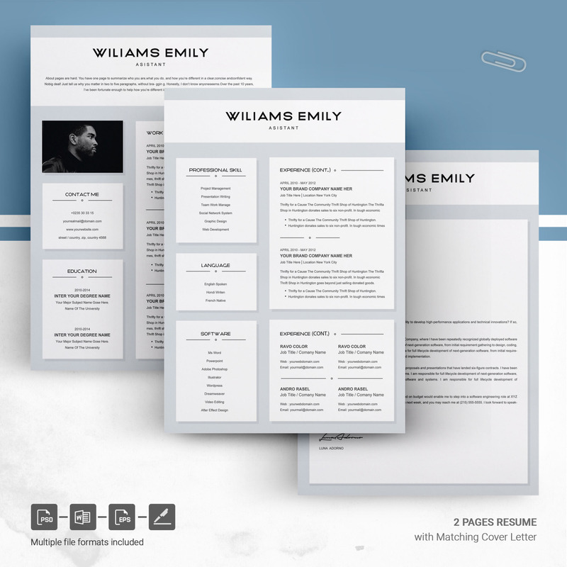 Professional Clean Resume Template #73580 - TemplateMonster