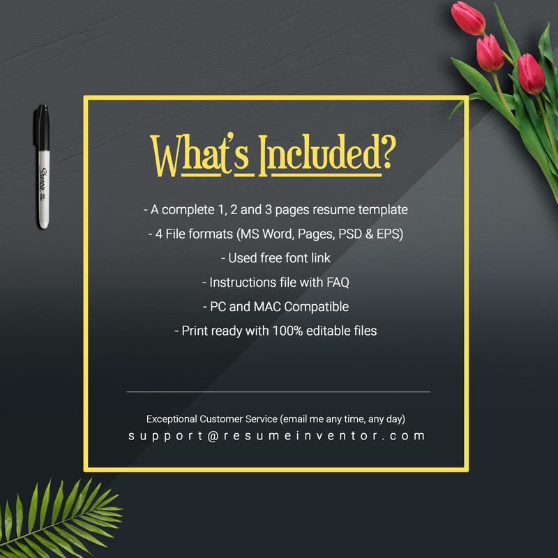 Daniel Resume Template #74466 - TemplateMonster