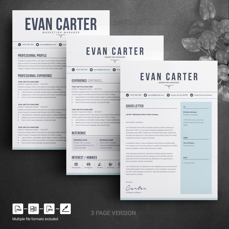 Evan Resume Template #74506 - TemplateMonster