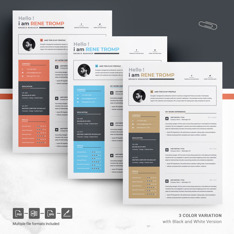 Rene Tromp Resume Template #75557 - TemplateMonster