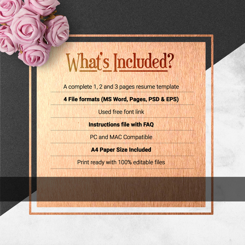 Jason Resume Template #79137 - TemplateMonster