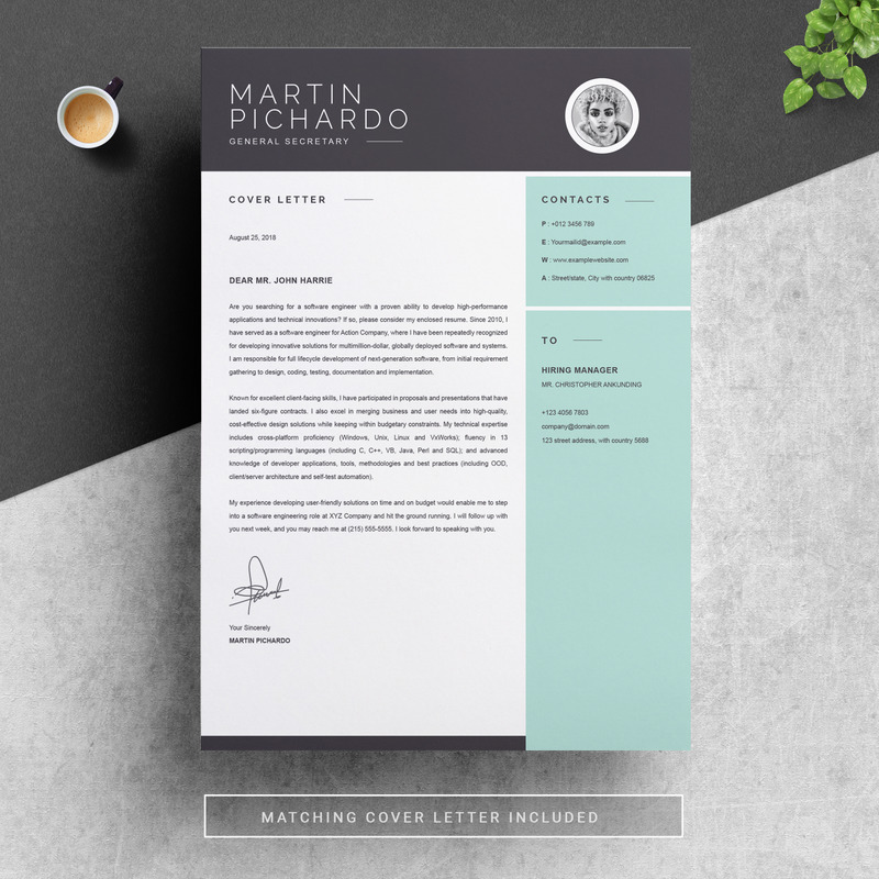 Martin Resume Template #81036 - TemplateMonster
