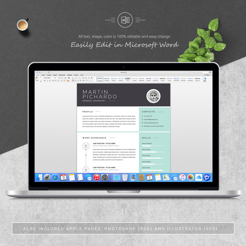 Martin Resume Template #81036 - TemplateMonster