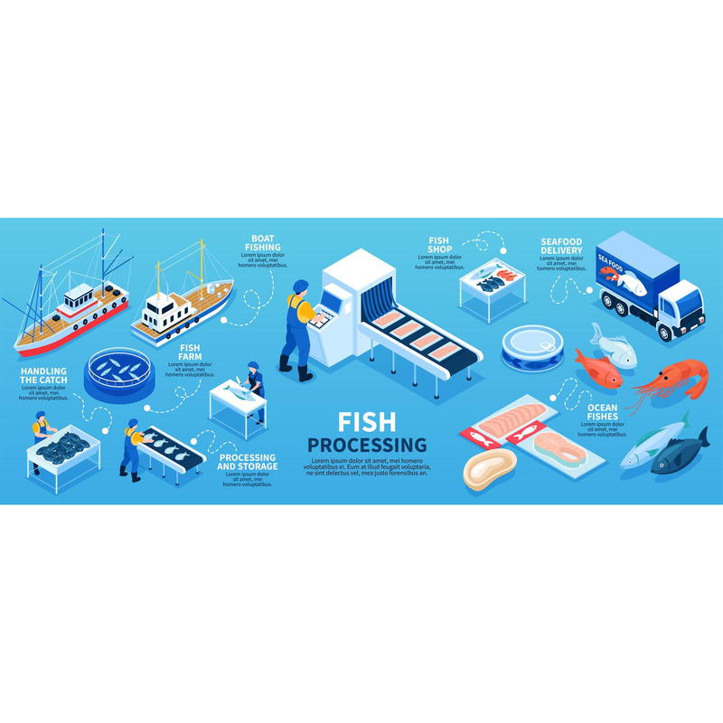 Isometric Fishing Production Infographics 201112135 Vector Illustration ...