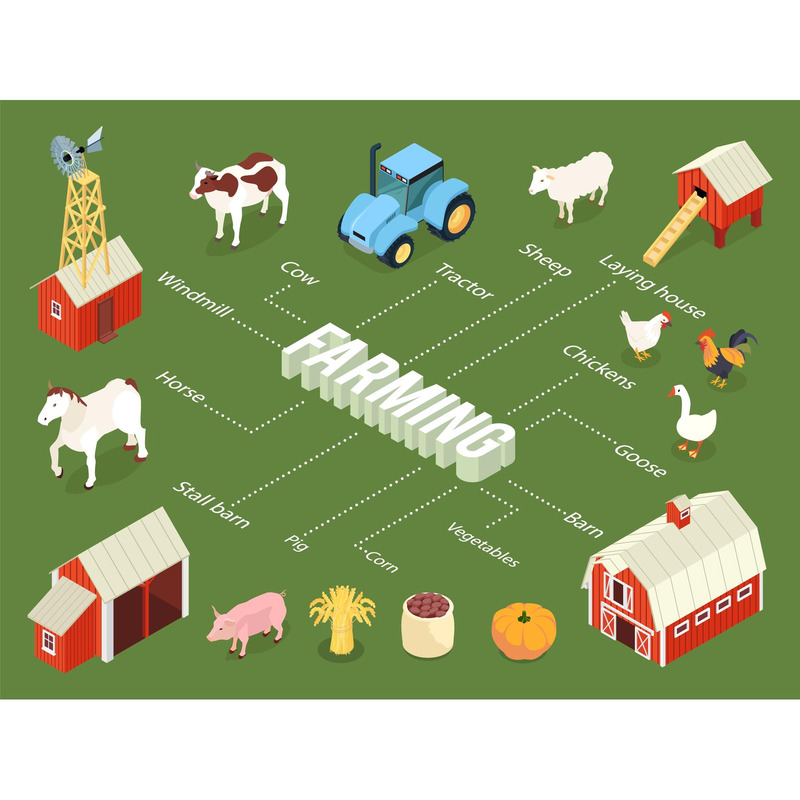 Isometric Farm Flowchart 210403205 Vector Illustration Concept