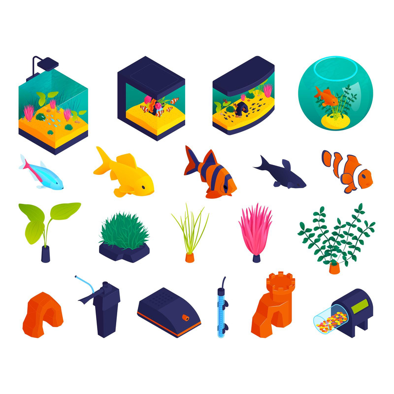 Isometric Aquarium Color Set 201150429 Vector Illustration Concept