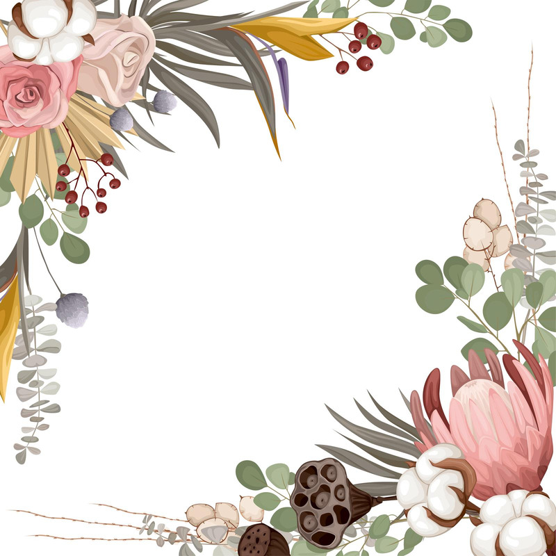 Boho Dried Flowers Illustration Vector Illustration Concept