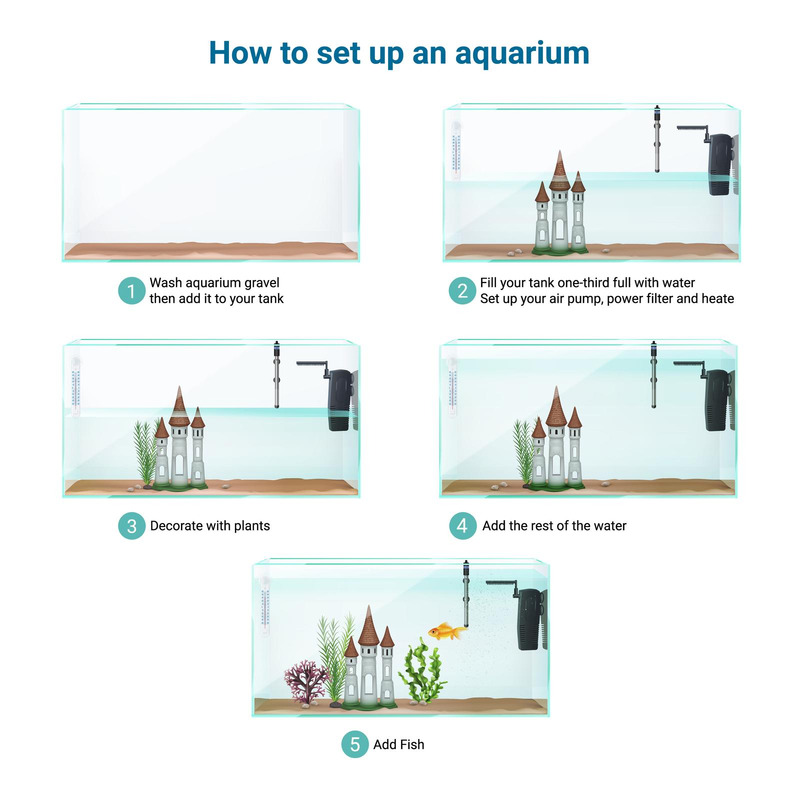 Aquarium Equipment Set Up Realistic Infographics Vector Illustration ...