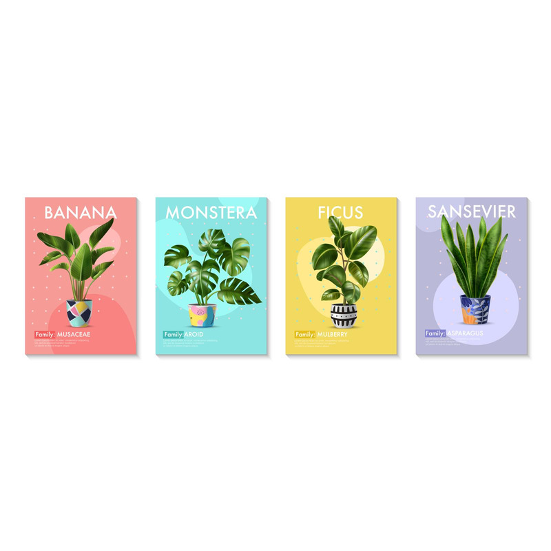 Realistic Green Home Plant Posters Vector Illustration Concept