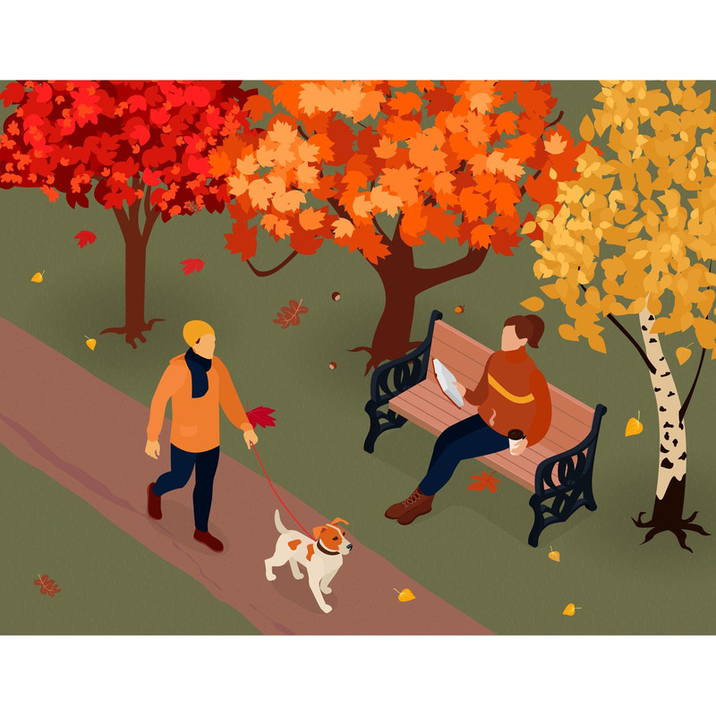 Isometric Autumn Fall Illustration 2 Vector Illustration Concept