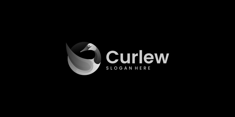 Curlew Gradient Logo Style #239580 - TemplateMonster