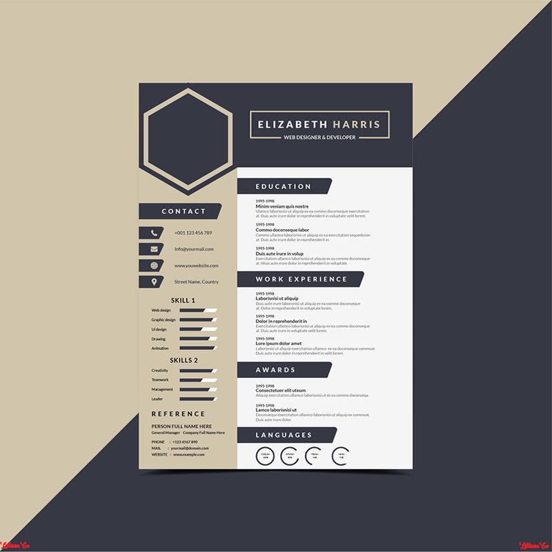 Template Creative Navy Blue Resume CV Design For Interview