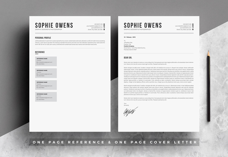 Clean Resume - CV (Curriculum Vitae) - TemplateMonster