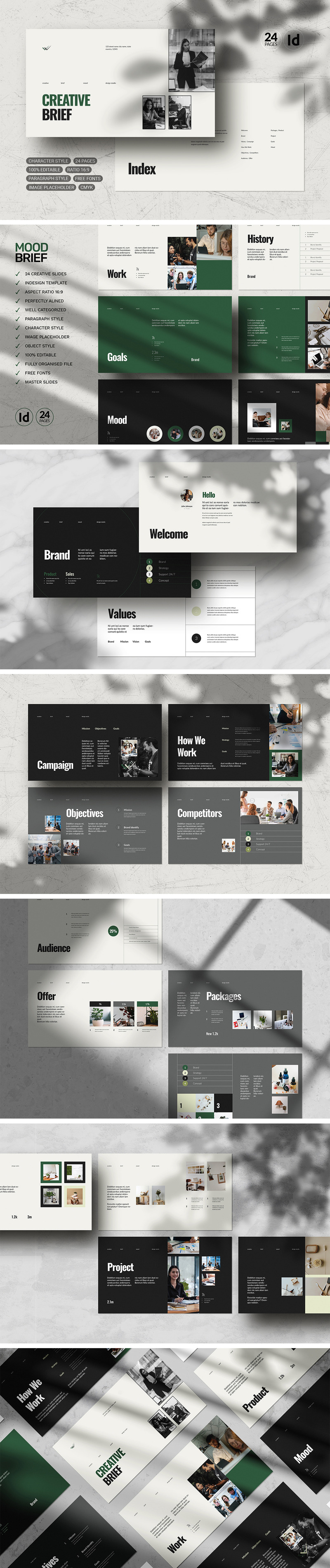 Creative Brief Template/InDesign #494453 - TemplateMonster
