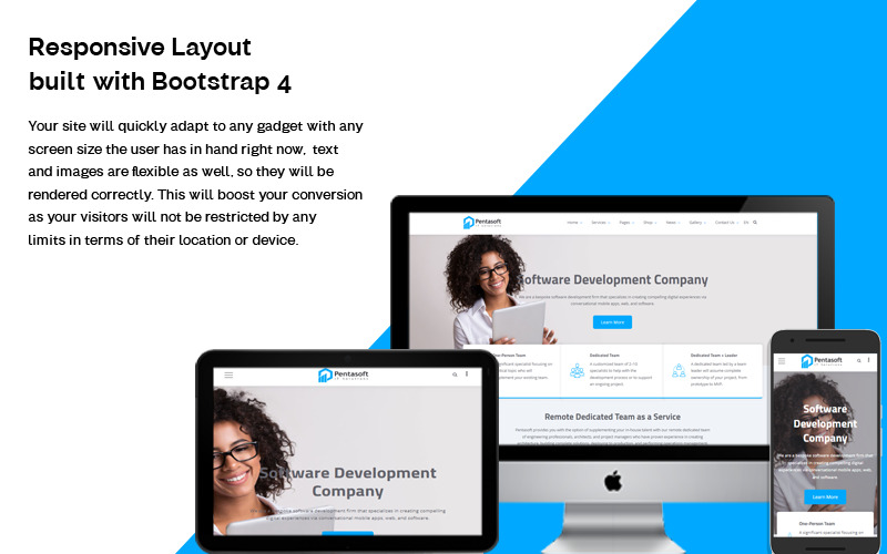 Pentasoft – Software Solutions & Consulting HTML website Template